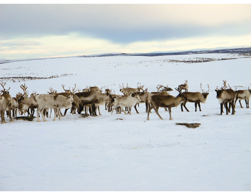 Meld. St. 32 (2016–2017) - regjeringen.no