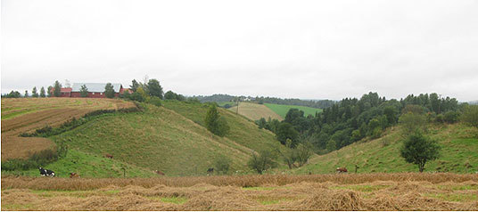 Sjeldent godt bevart ravinelandskap